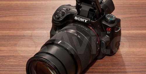 Зеркальная фотокамера Sony SLT A 37