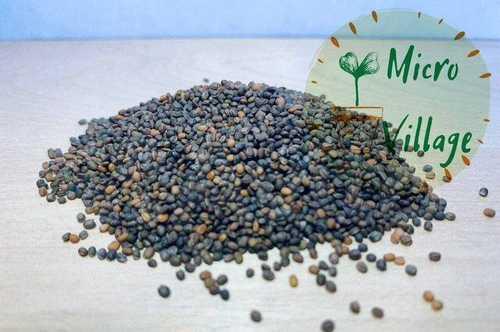Семена для микрозелени