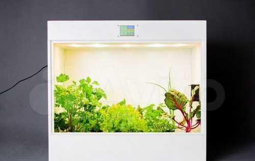Ecobox - система для выращивания растений