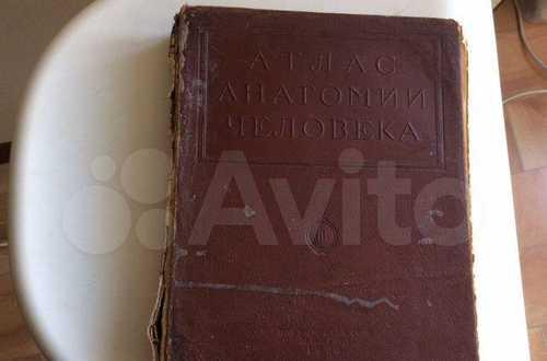 Атлас анатомии человека, Р.Д. Синельников, 1939 го