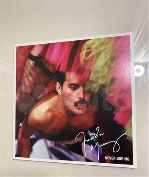 Freddie Mercury - Never Boring