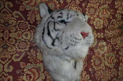 Большая настенная голова Белого тигра Супер Декор