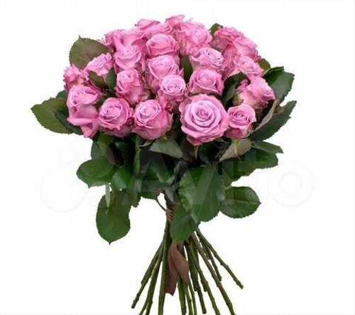 Цветы роза сорта "Мери Тим" 60 см. Доставка