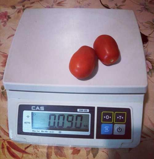 Весы cas sw-05 (до 5 кг.)