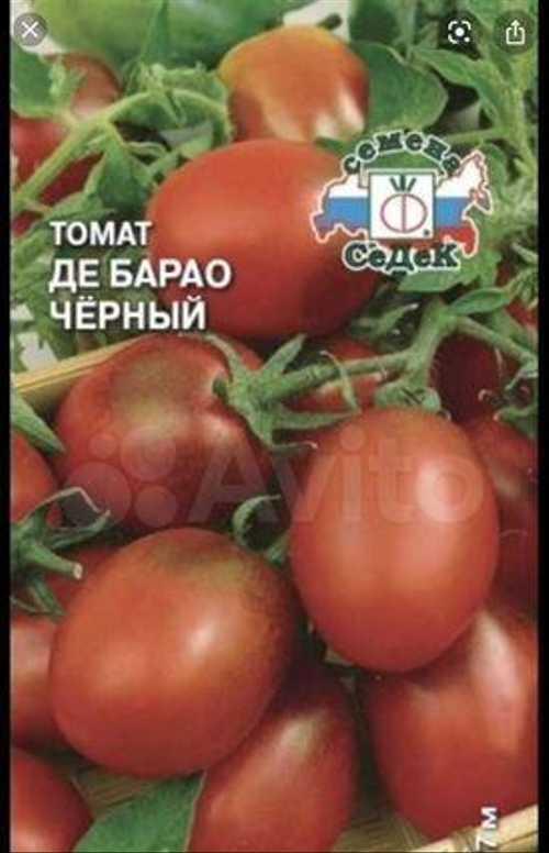 Рассада томатов/помидор «Де Барао черный»
