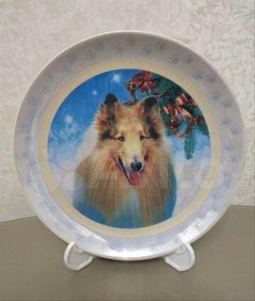 Тарелка декоративная "Собака Колли"