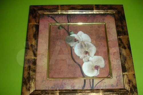 Картина ветка орхидеи