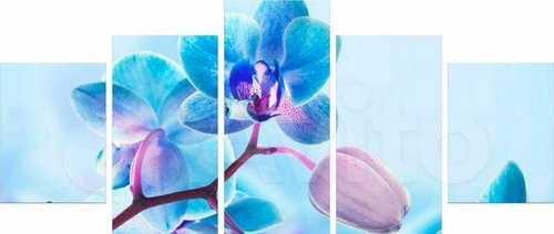 Модульная картина "Голубая орхидея"
