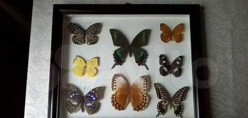 Панно декоративное " Бабочки" 34 х 29 см