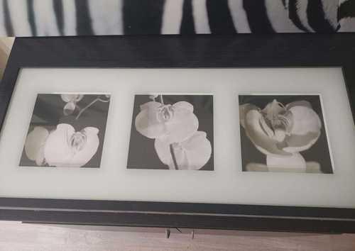 Картина IKEA орхидеи