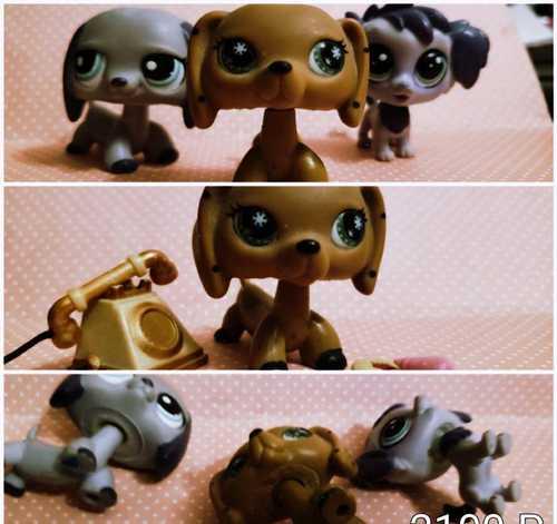 LPS