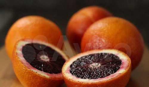 Саженцы Апельсина с плодами