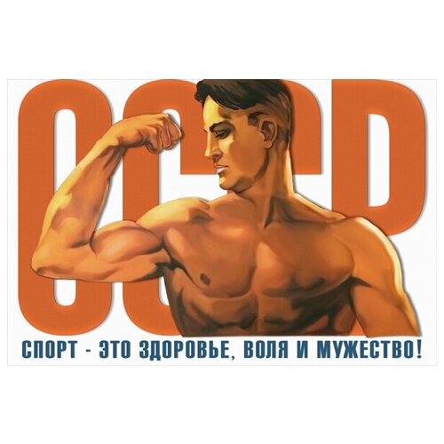 Плакат, постер на бумаге Спорт-это здоровье, воля и мужество СССР. Размер 30 х 42 см