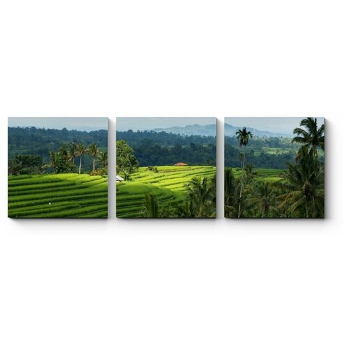 Модульная картина Бали, рисовые поля 90x30