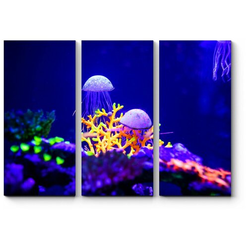 Модульная картина Яркий мир кораллов и медуз 160x115
