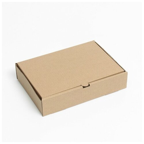 Коробка для пирога, крафт, 29 х 20 х 6 см (10 шт)
