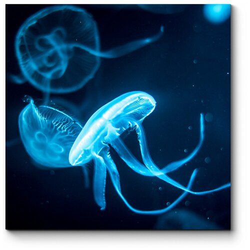 Модульная картина Неоновый танец медуз под водой 140x140