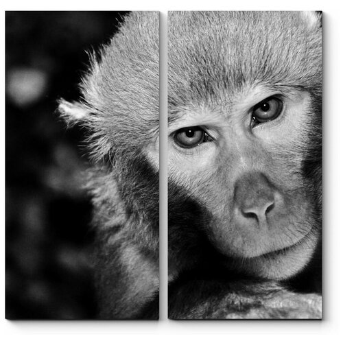 Модульная картина Портрет харизматичной обезьянки110x110