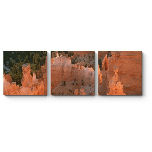 Модульная картина Крутой каньон80x27