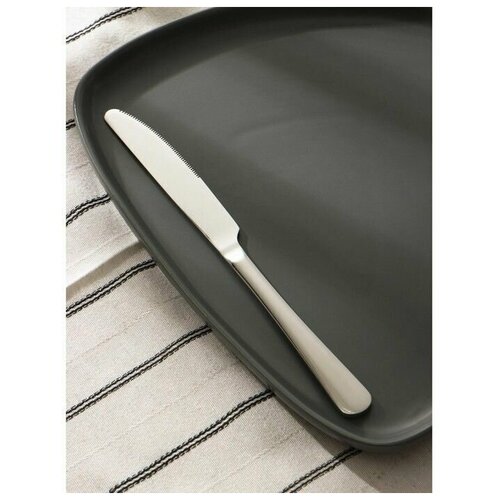 Нож столовый из нержавеющей стали "Моника", длина 23.5 см, цвет серебряный