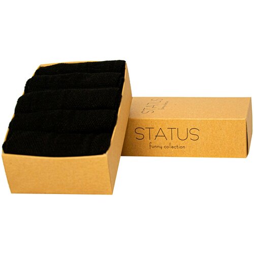 Носки STATUS, 5 пар, размер 31, черный