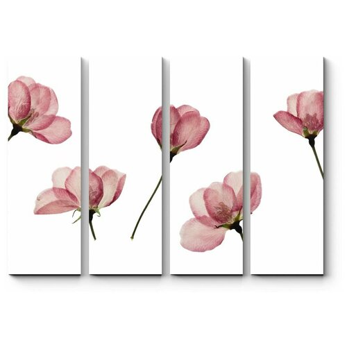 Модульная картина Сухие цветы 100x75