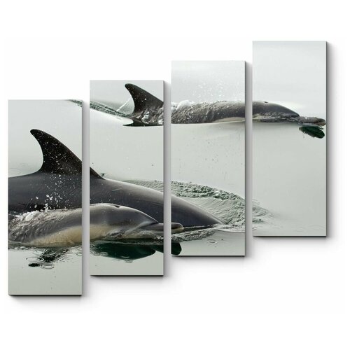 Модульная картина Счастливая семья дельфинов160x138