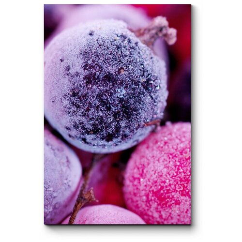 Модульная картина Зимние ягоды 30x45