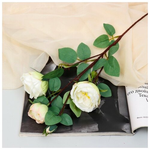 Цветы искусственные "Роза пионовидная галант" 7х61 см, белый