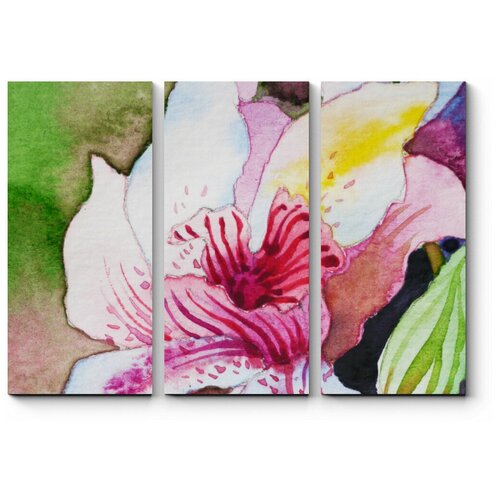 Модульная картина Изумительные переходы цвета орхидеи 80x57