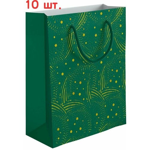 Пакет подарочный мелованный большой, 26х32х12 см , вариант 5 (10 шт.)