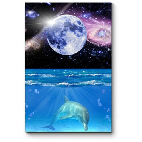 Модульная картина Сладкий сон дельфина70x105