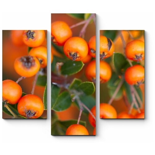 Модульная картина Спелые ягоды рябины 130x117