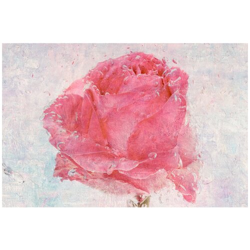Постер / Плакат / Картина Яркая роза 40х50 см в подарочном тубусе