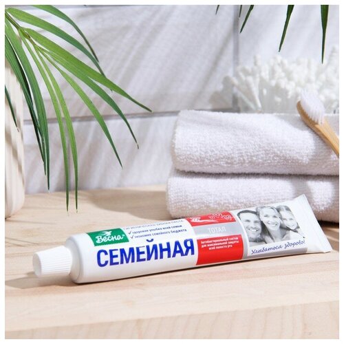 Зубная паста Весна семейная , 90 г