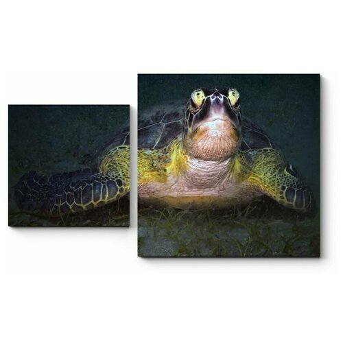 Модульная картина Зеленая черепаха ночью 110x66
