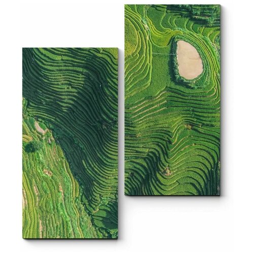 Модульная картина Линии рисовых полей 40x50