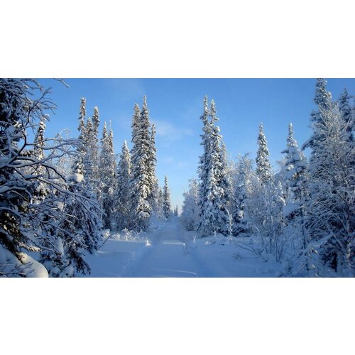 Картина на холсте 60x110 LinxOne "Небо снег лес зима дорога" интерьерная для дома / на стену / на кухню / с подрамником