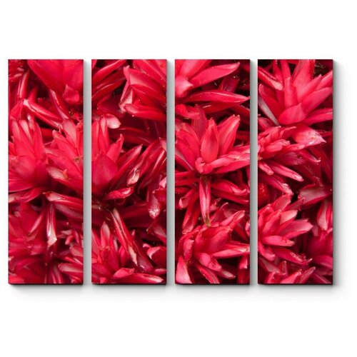 Модульная картина Красные тропические цветы80x60