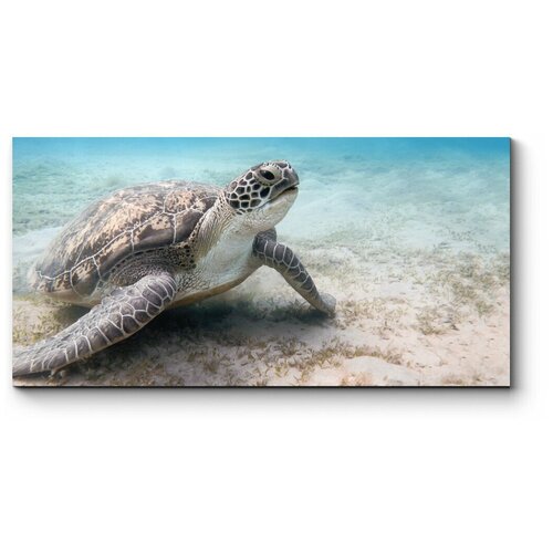 Модульная картина Чарующая подводная черепаха 80x40