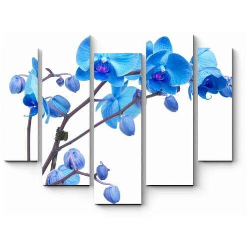 Модульная картина Орхидея небесного цвета151x123
