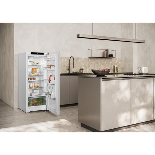 Холодильник Liebherr Plus Rf 4600 белый (однокамерный)