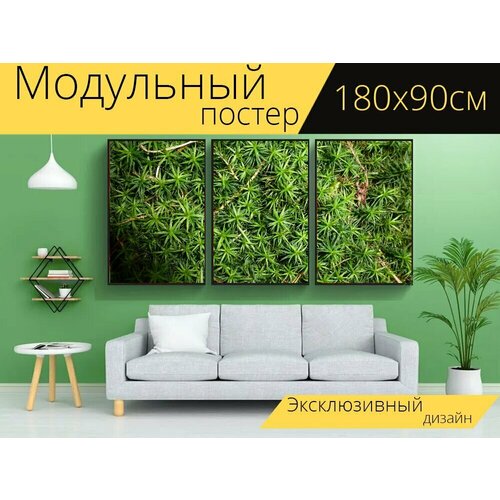 Модульный постер "Звездный мох, грин, природа" 180 x 90 см. для интерьера