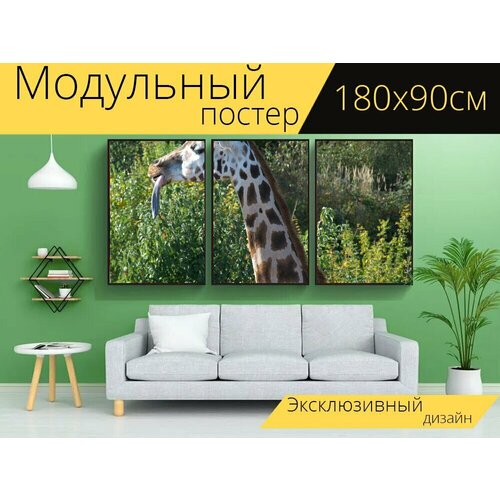 Модульный постер "Природа, животные, зоопарк" 180 x 90 см. для интерьера