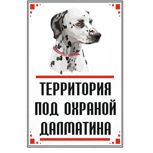 Территория под охраной далматина. Табличка металлическая, картина на жести, декор интерьера, плакат, постер, подарок