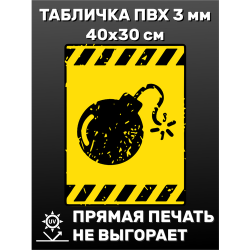 Табличка информационная Знак бомба 40х30 см