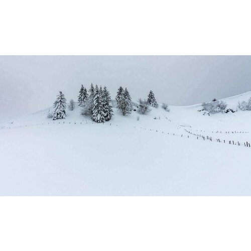 Картина на холсте 60x110 LinxOne "Холм, снег, деревья, елки, зима" интерьерная для дома / на стену / на кухню / с подрамником