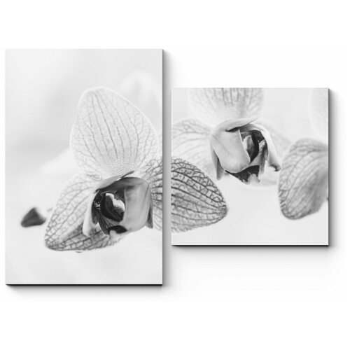 Модульная картина Черно-белые орхидеи 200x150