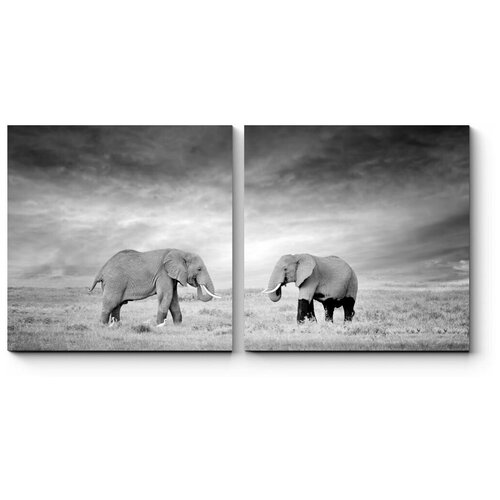 Модульная картина Слоны в национальном парке 40x20