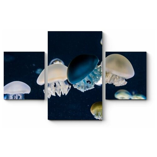 Модульная картина Красивые медузы130x85